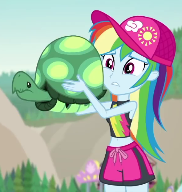 #1744320 - safe, screencap, rainbow dash, tank, tortoise, aww... baby ...