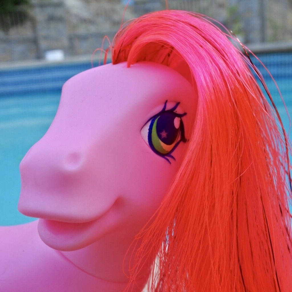 #1816013 - safe, photographer:rileyspones, strawberry reef, pony, g3 ...