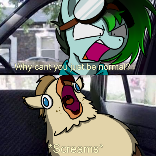 #1947933 - safe, artist:sugar morning, oc, oc only, oc:bolton, oc:gryph ...