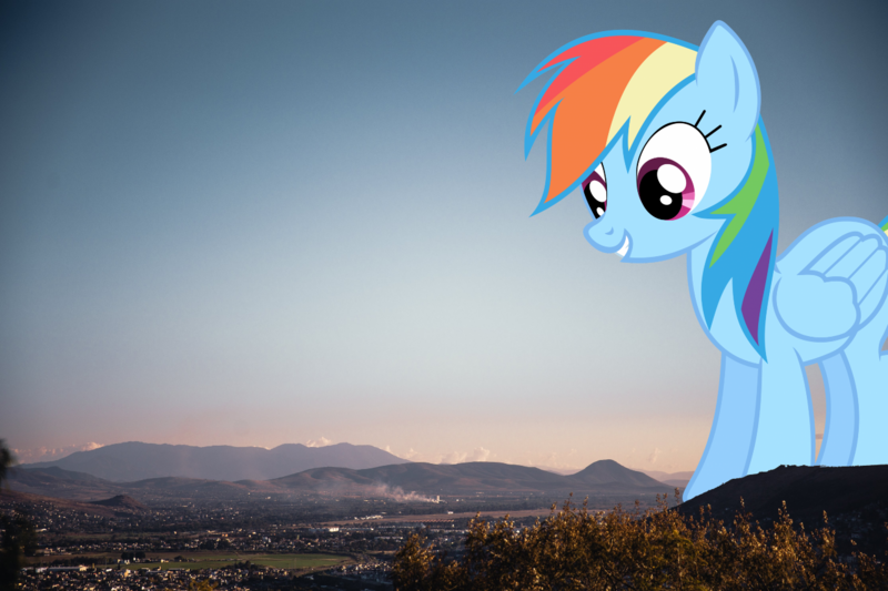 Real Rainbow Dash