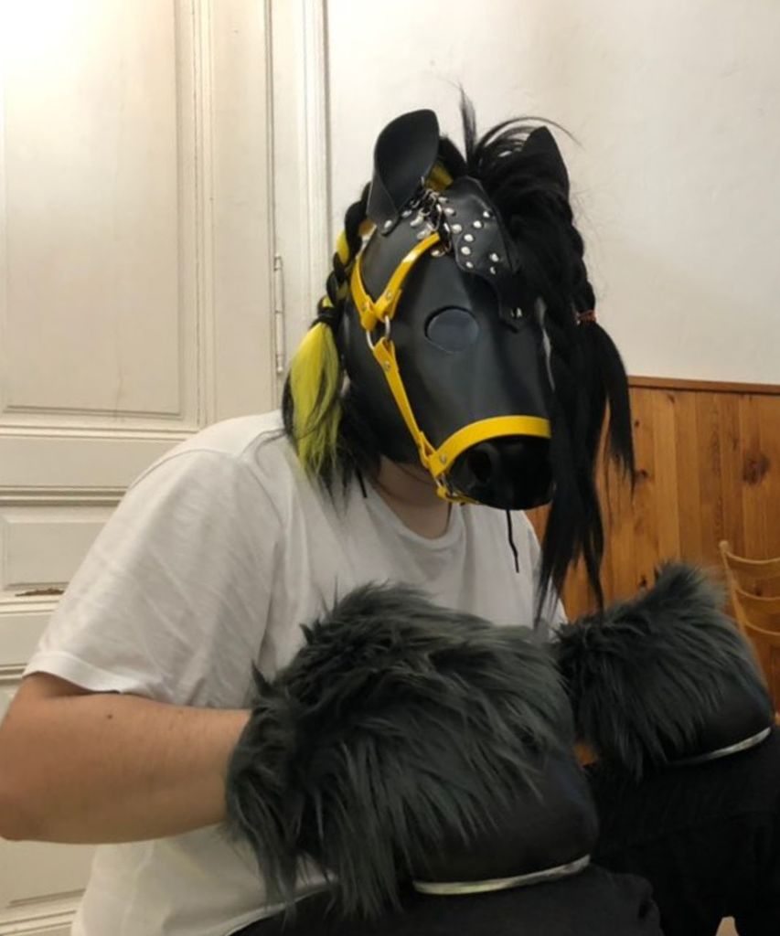 #1963405 - safe, oc, oc:shadow whip, human, bdsm, clothes, cosplay ...