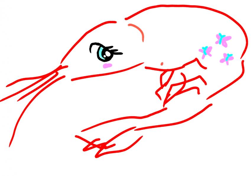 #1956627 - artist needed, safe, fluttershy, pony, shrimp, g4, female ...