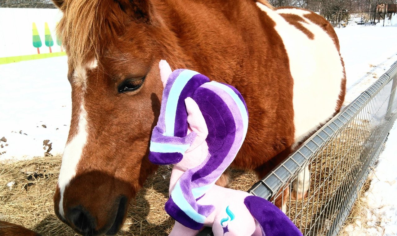 #1977413 - safe, artist:hihin1993, starlight glimmer, pony, g4, horse ...