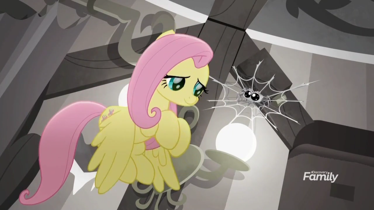 #2080684 - safe, screencap, fluttershy, pony, spider, rainbow roadtrip ...