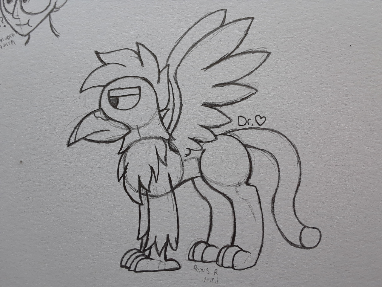 #2098682 - safe, artist:drheartdoodles, oc, oc only, oc:helios, griffon, borb, chest fluff, solo ...