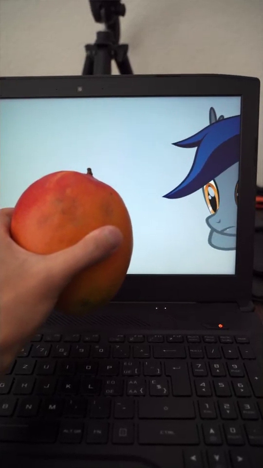 #2104380 - safe, artist:stormxf3, oc, oc only, oc:echo, bat pony, human ...