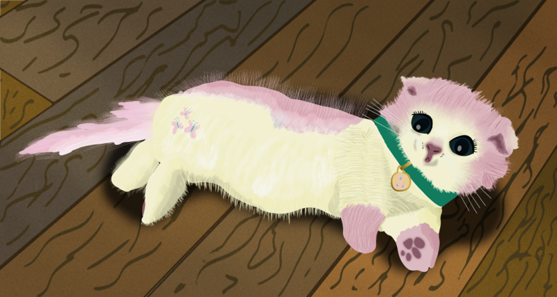 Fluttershy Cat