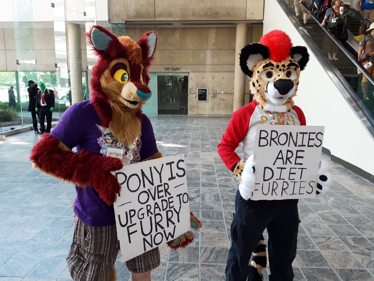 #2108570 - safe, photographer:mcmiag, daring do, oc, oc:anon, bronycon ...