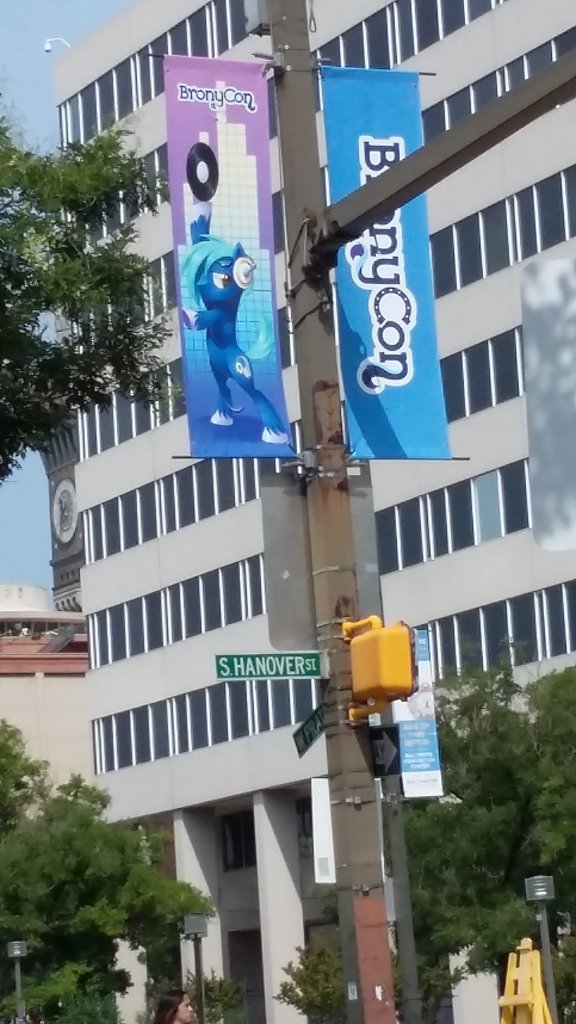 #2110502 - safe, photographer:lesliepone, pony, bronycon, banner ...
