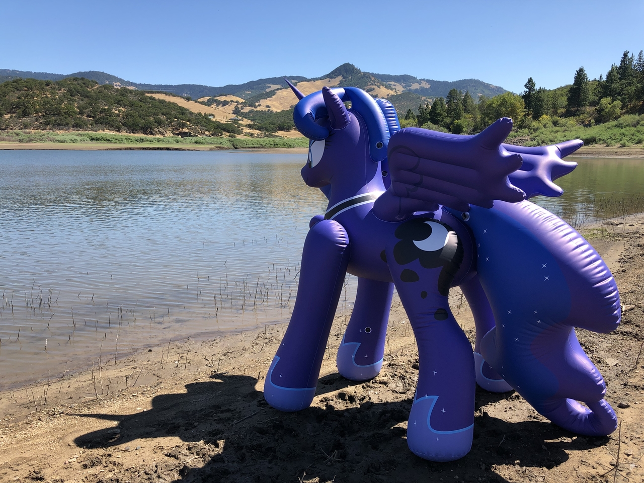 #2155214 - safe, hongyi, princess luna, alicorn, inflatable pony, pony ...