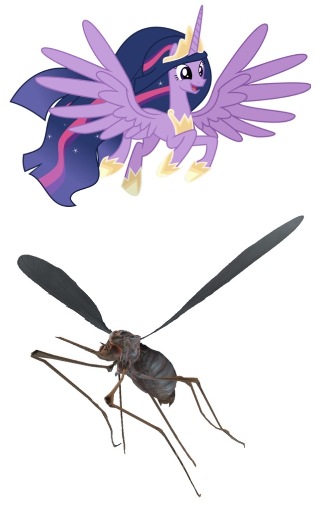 #2135892 - safe, twilight sparkle, alicorn, insect, mosquito, pony, g4 ...