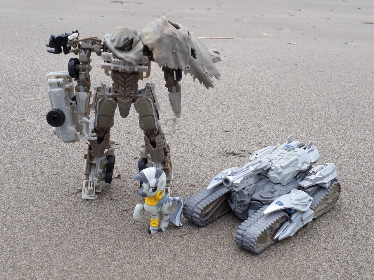 #2510928 - safe, artist:dingopatagonico, zecora, zebra, beach, high res ...