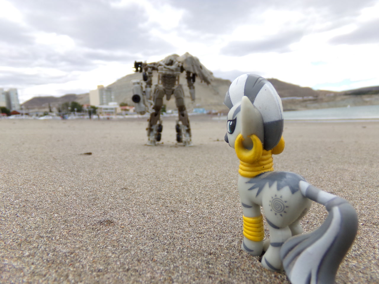 #2511080 - safe, artist:dingopatagonico, zecora, zebra, g4, beach, irl ...