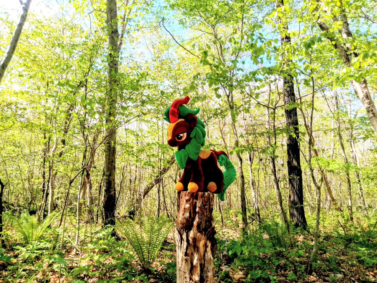 #2357875 - safe, photographer:pakapaka1993, cinder glow, summer flare ...