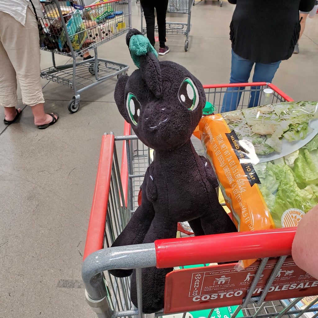 #2360627 - safe, oc, oc:brony t pony, pegasus, pony, costco, high res ...