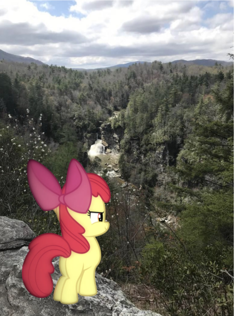 #2337837 - safe, photographer:undeadponysoldier, apple bloom, earth ...