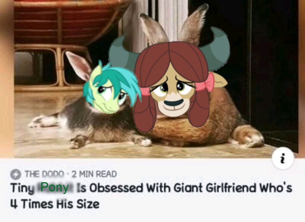 #2379552 - safe, sandbar, yona, g4, female, male, meme, ponified animal ...