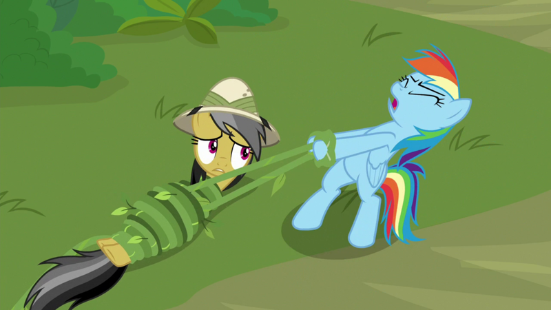 Rainbow Dash And Daring Do