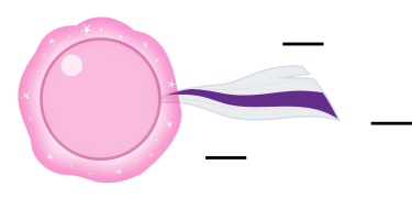 #2414287 - safe, artist:mega-poneo, twilight, pony, unicorn, g1 ...