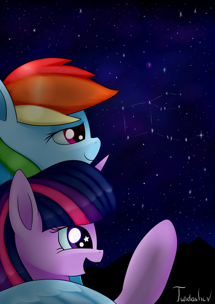 #2528817 - safe, artist:twidasher, rainbow dash, twilight sparkle ...