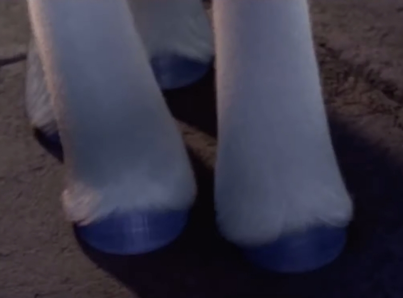 #2724024 - safe, screencap, zipp storm, pony, g5, my little pony: a new ...