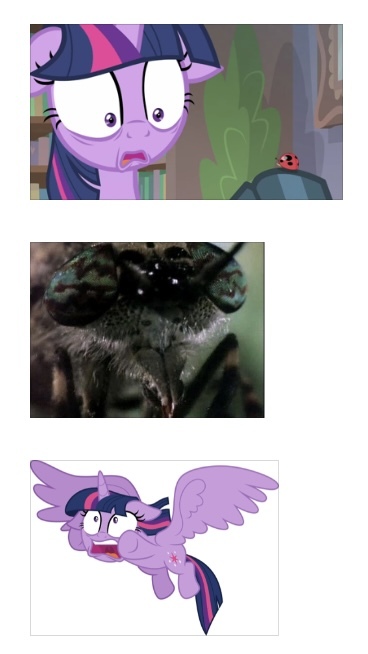 #2553775 - safe, edit, screencap, twilight sparkle, alicorn, insect, ladybug, pony, g4 ...