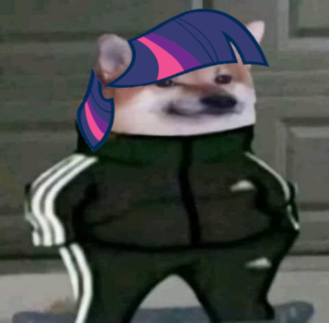 #2563904 - safe, edit, twilight sparkle, dog, g4, adidas, adidas ...