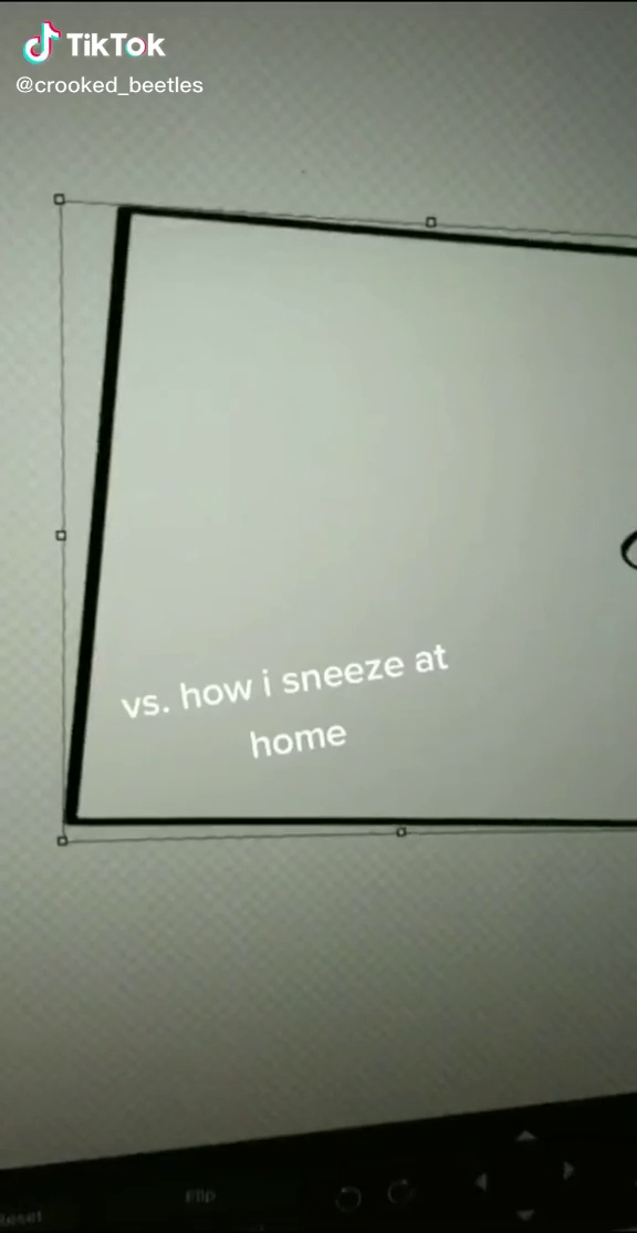 #2587071 - safe, artist:crookedbeetles, oc, oc only, earth pony, pony ...