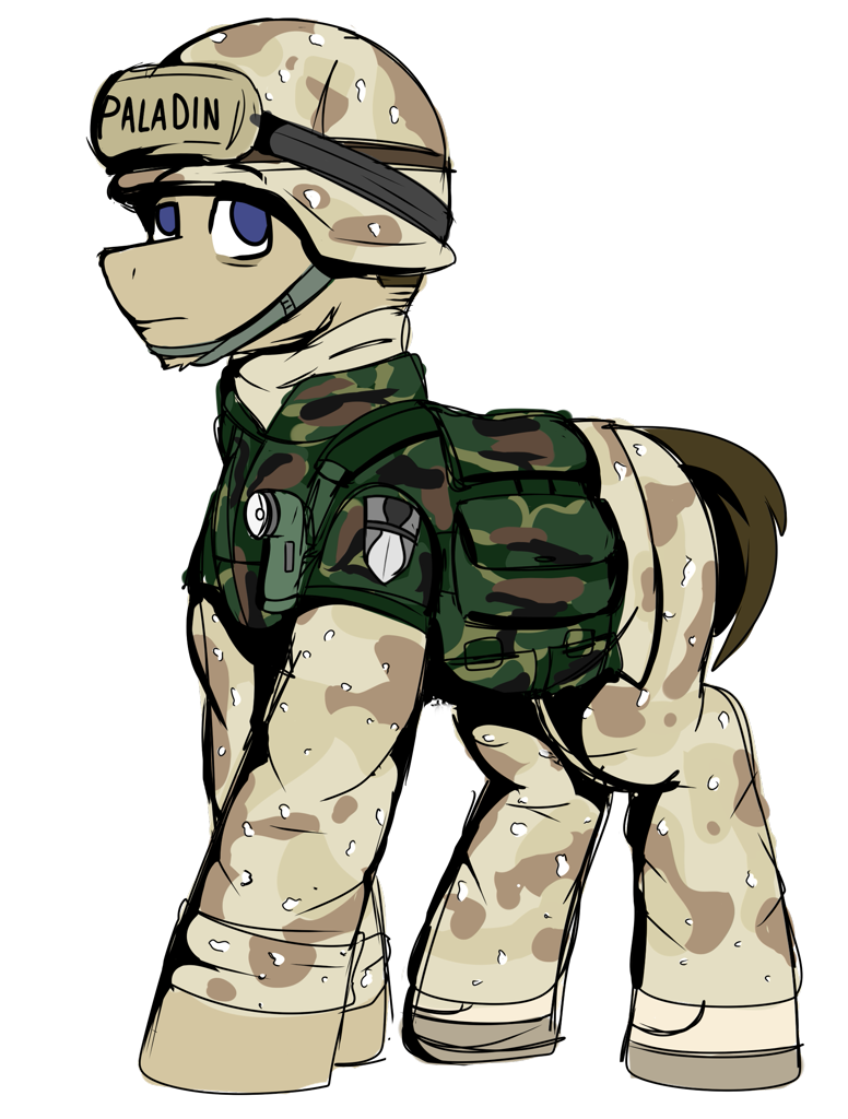 #2679134 - safe, artist:coatieyay, oc, oc only, oc:paladin, pony ...