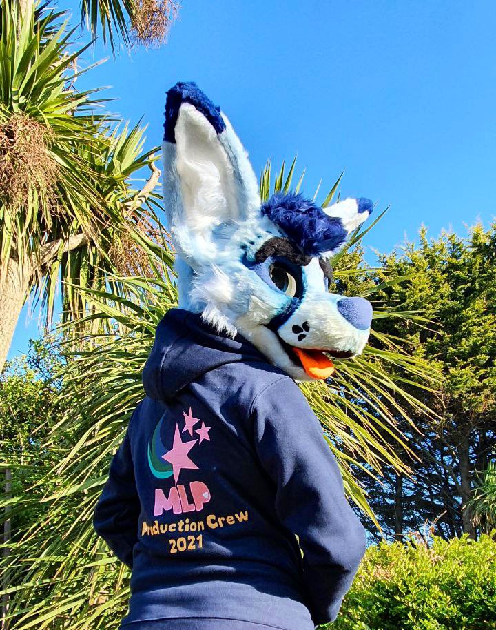 #2707680 - safe, oc, g5, clothes, furry, furry oc, fursuit, hoodie, irl ...