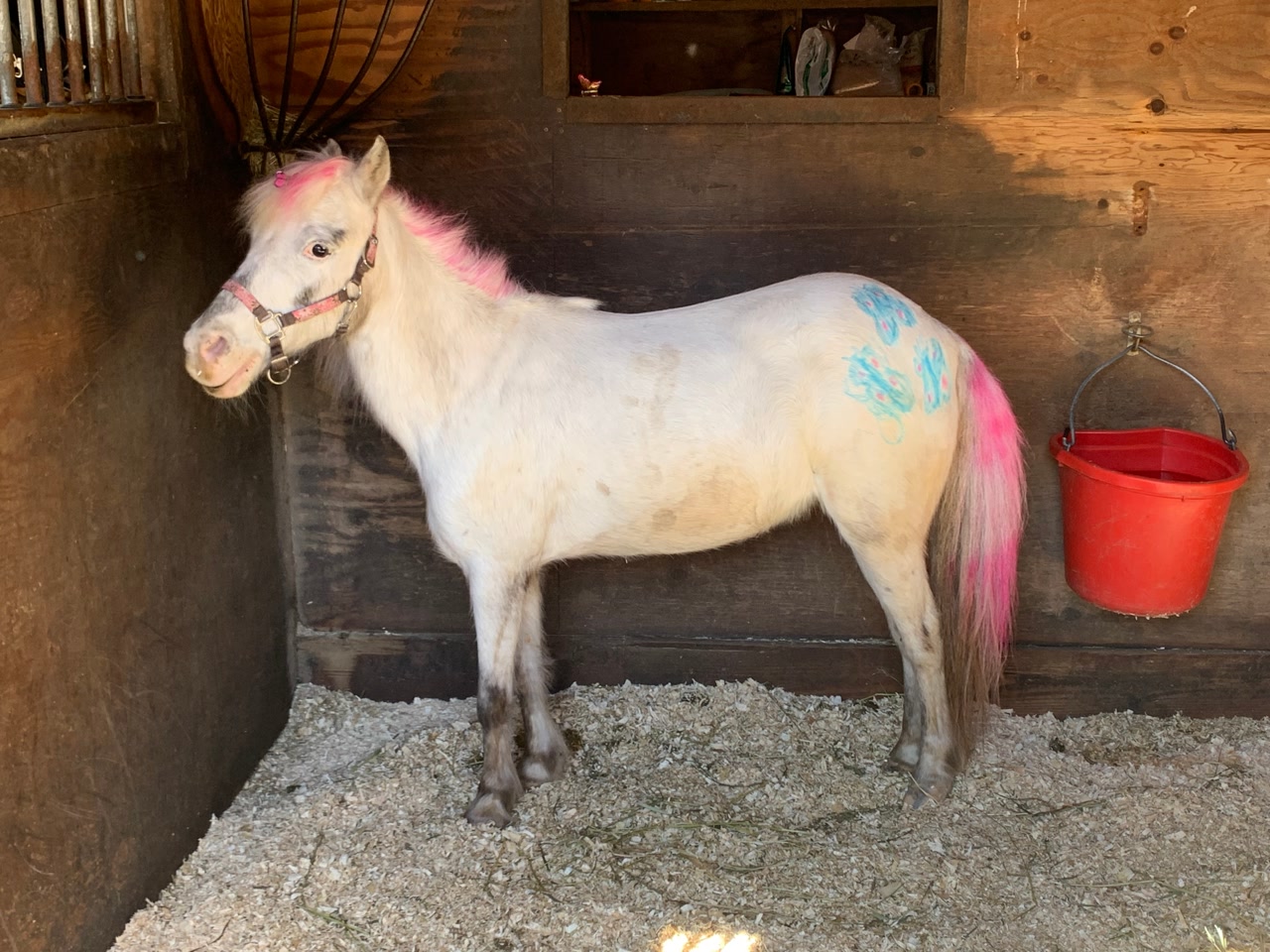 #2970266 - safe, artist:jonstallion, horse, pony, dyed hair, fake cutie ...