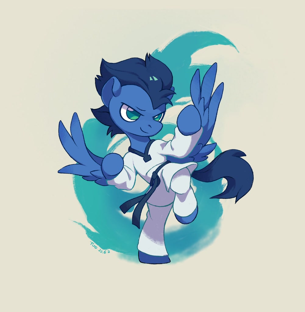 #2986949 - safe, artist:drtuo4, oc, oc only, pegasus, pony, black belt ...