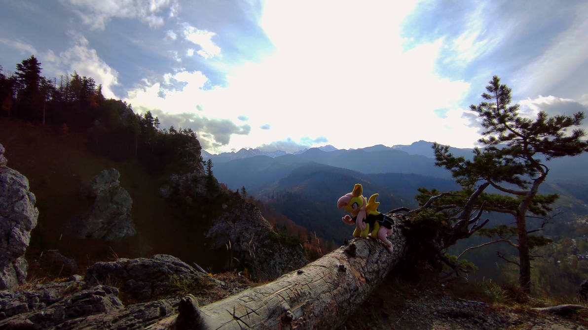 #2991290 - safe, fluttershy, pegasus, pony, g4, cute, irl, mountain ...