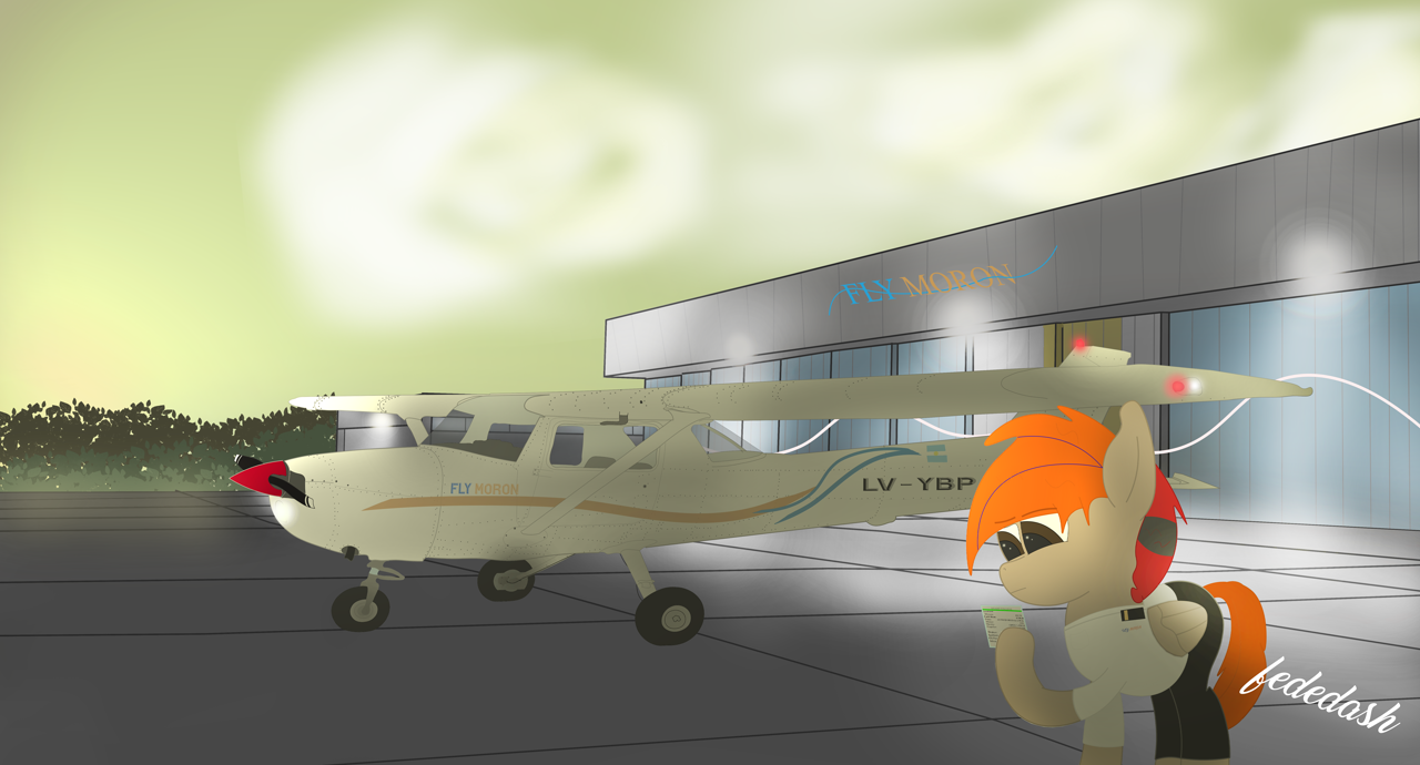 #2822315 - safe, artist:fededash, oc, oc only, oc:fededash, pegasus, pony, argentina, cessna ...