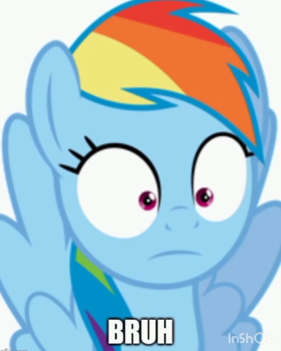 #2817949 - safe, rainbow dash, pegasus, pony, g4, animated, bruh ...