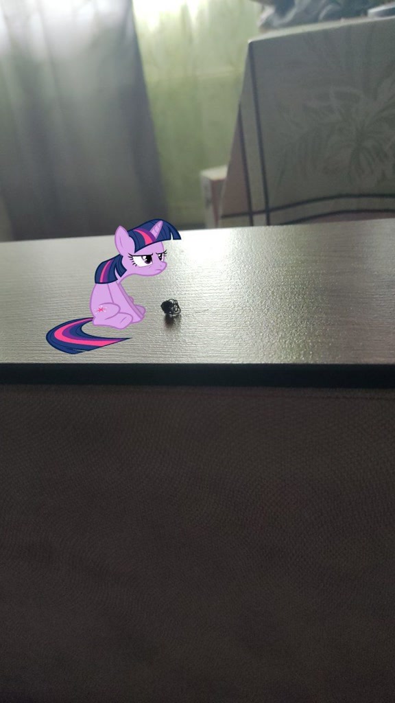 #2829895 - safe, twilight sparkle, pony, unicorn, g4, female, irl, joke ...