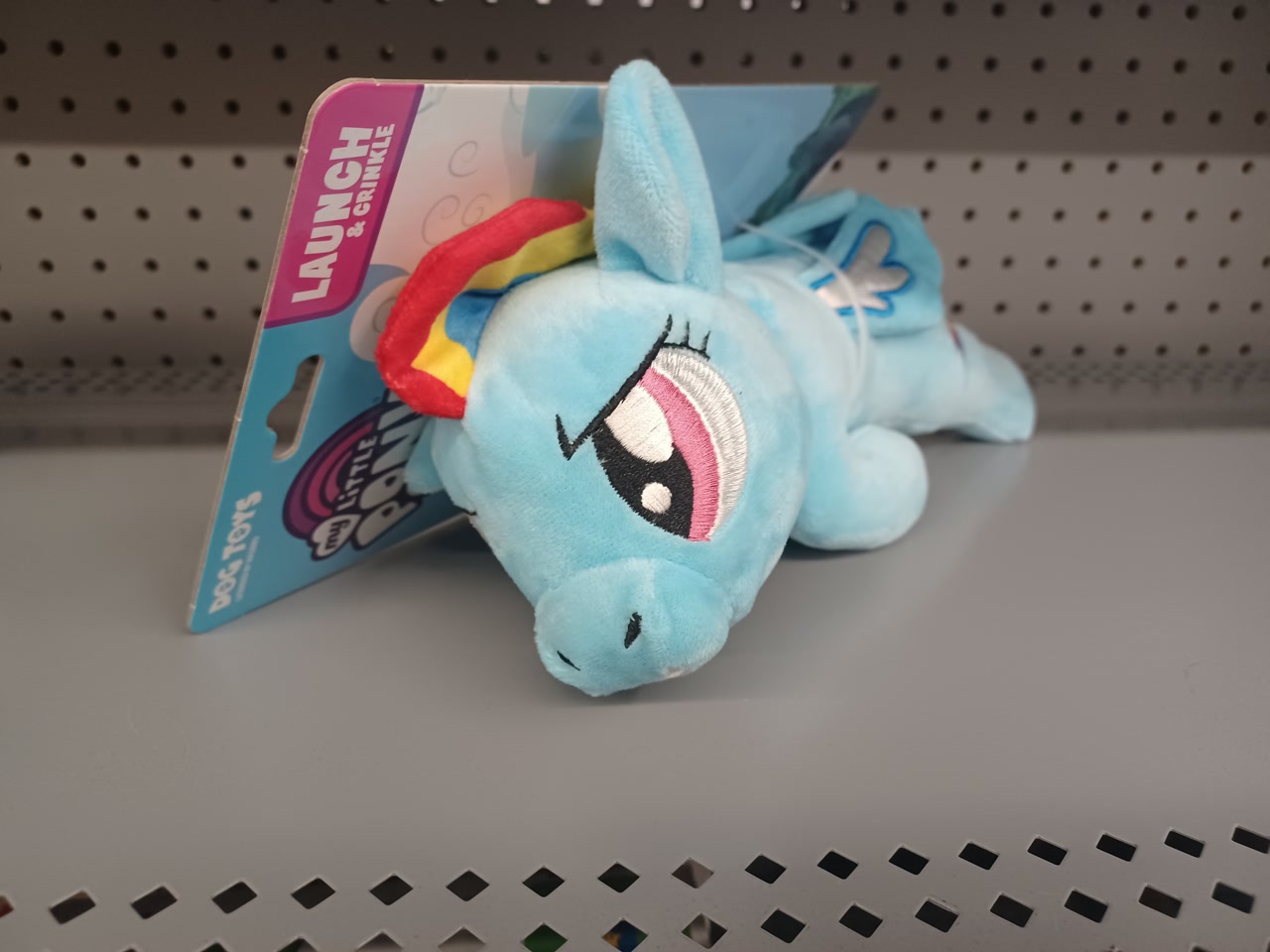 #2833580 - safe, rainbow dash, pegasus, pony, g4, dog toy, shelf, solo ...