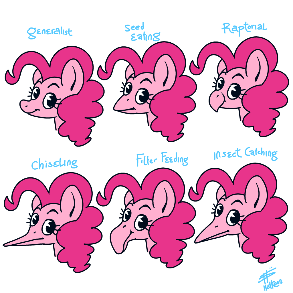 #2846285 - safe, artist:hotkoin, pinkie pie, bird, bird pone, pony, g4 ...