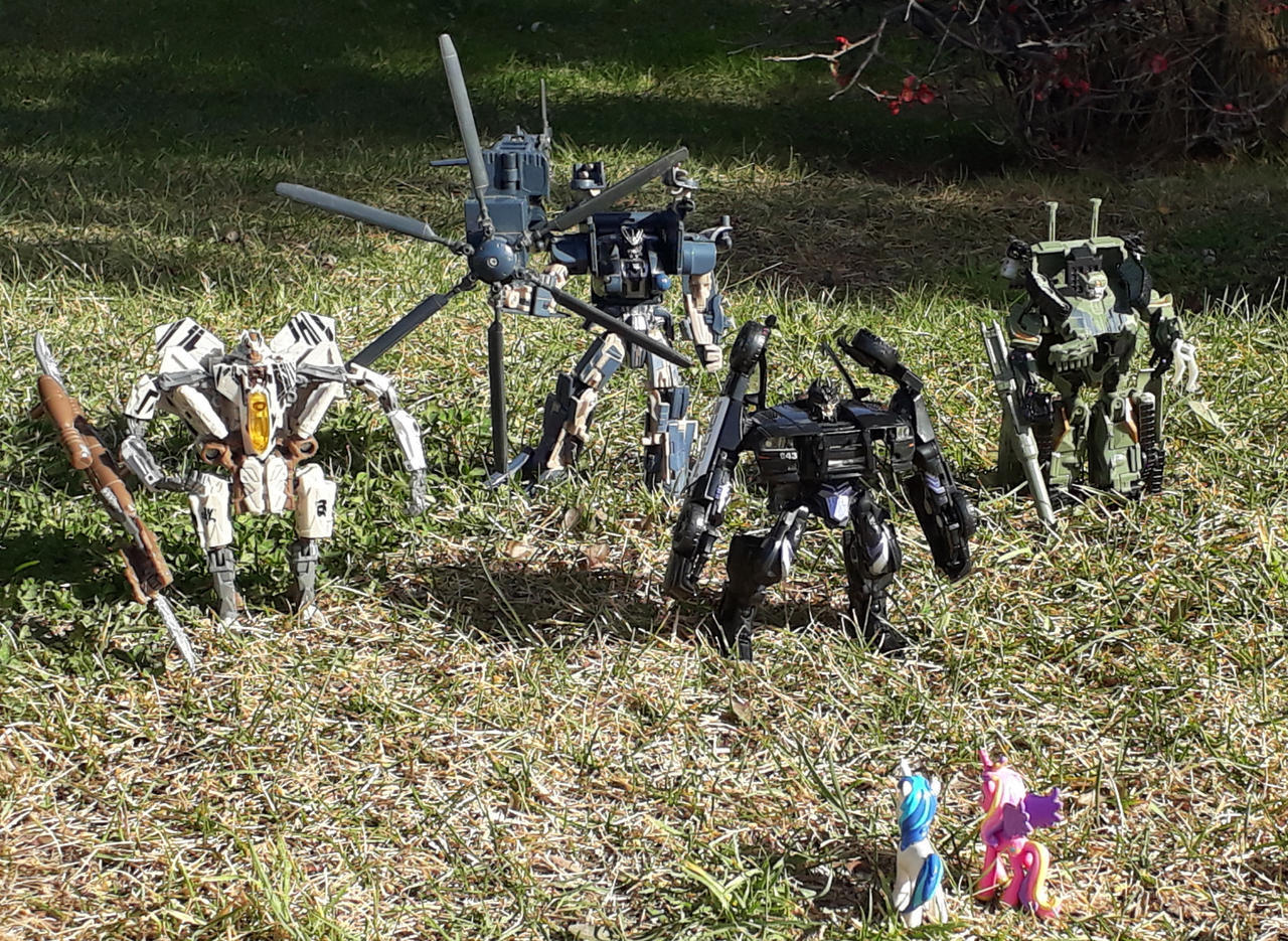 #2925292 - safe, artist:dingopatagonico, princess cadance, shining ...