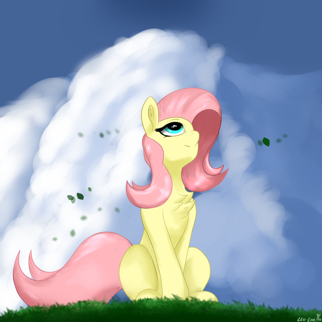 #2945688 - safe, artist:leoliu0491, fluttershy, pegasus, pony, chest fluff, cloud, female, grass ...
