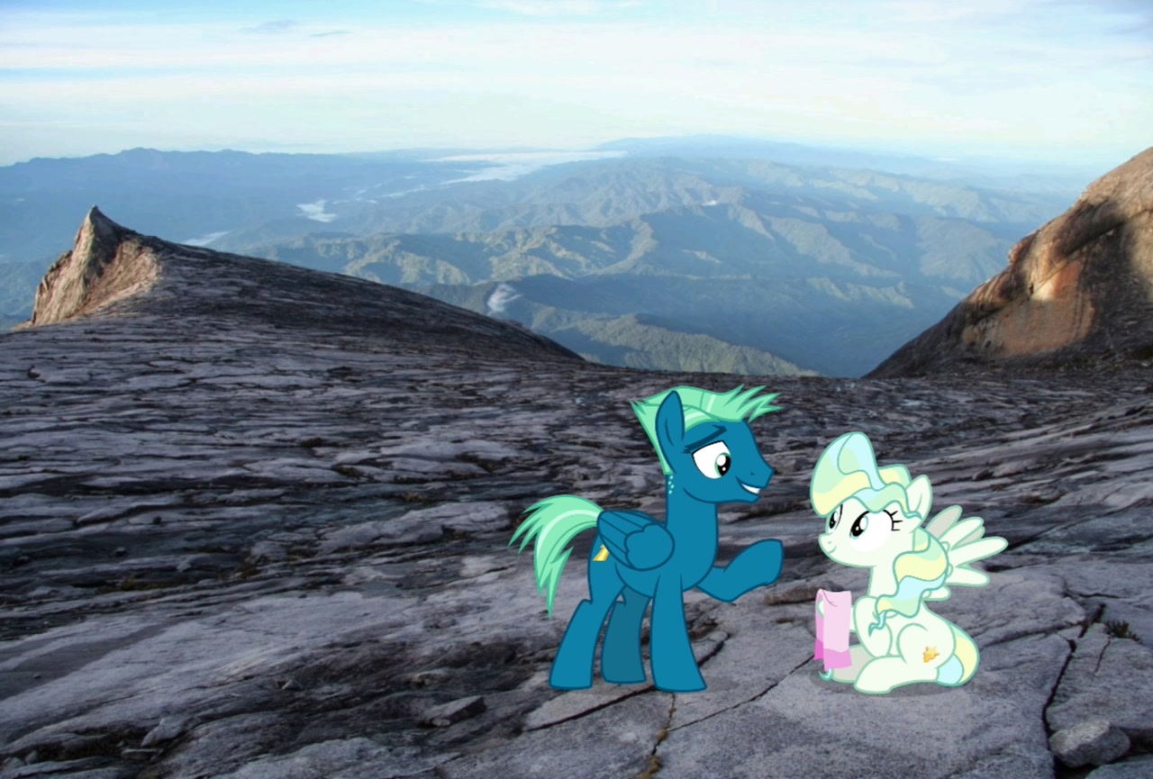 #3022984 - safe, sky stinger, vapor trail, pegasus, pony, g4, female ...