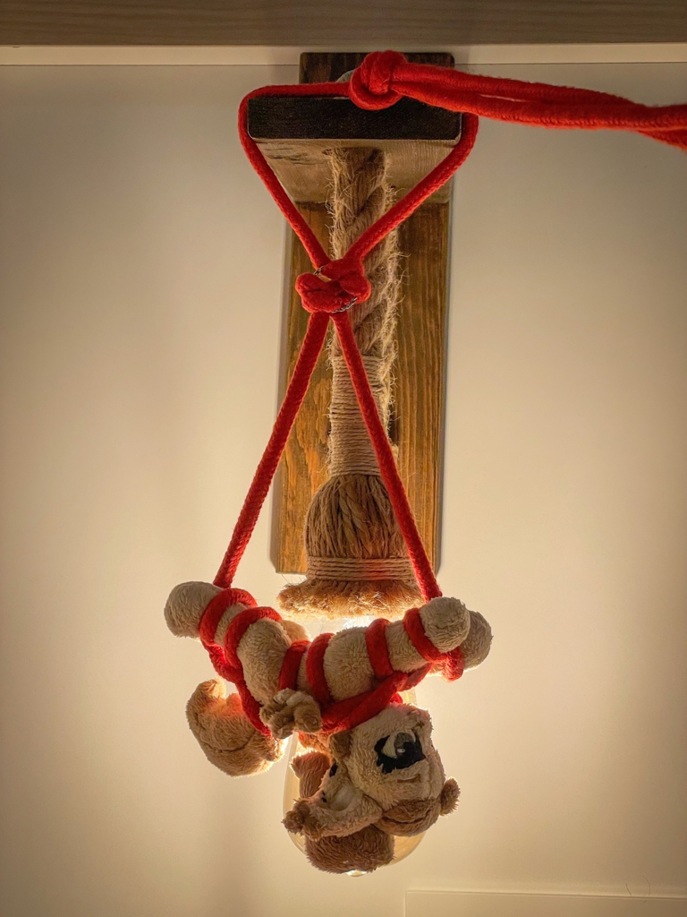 #3228242 - suggestive, oc, oc only, oc:dima, pegasus, pony, bondage ...