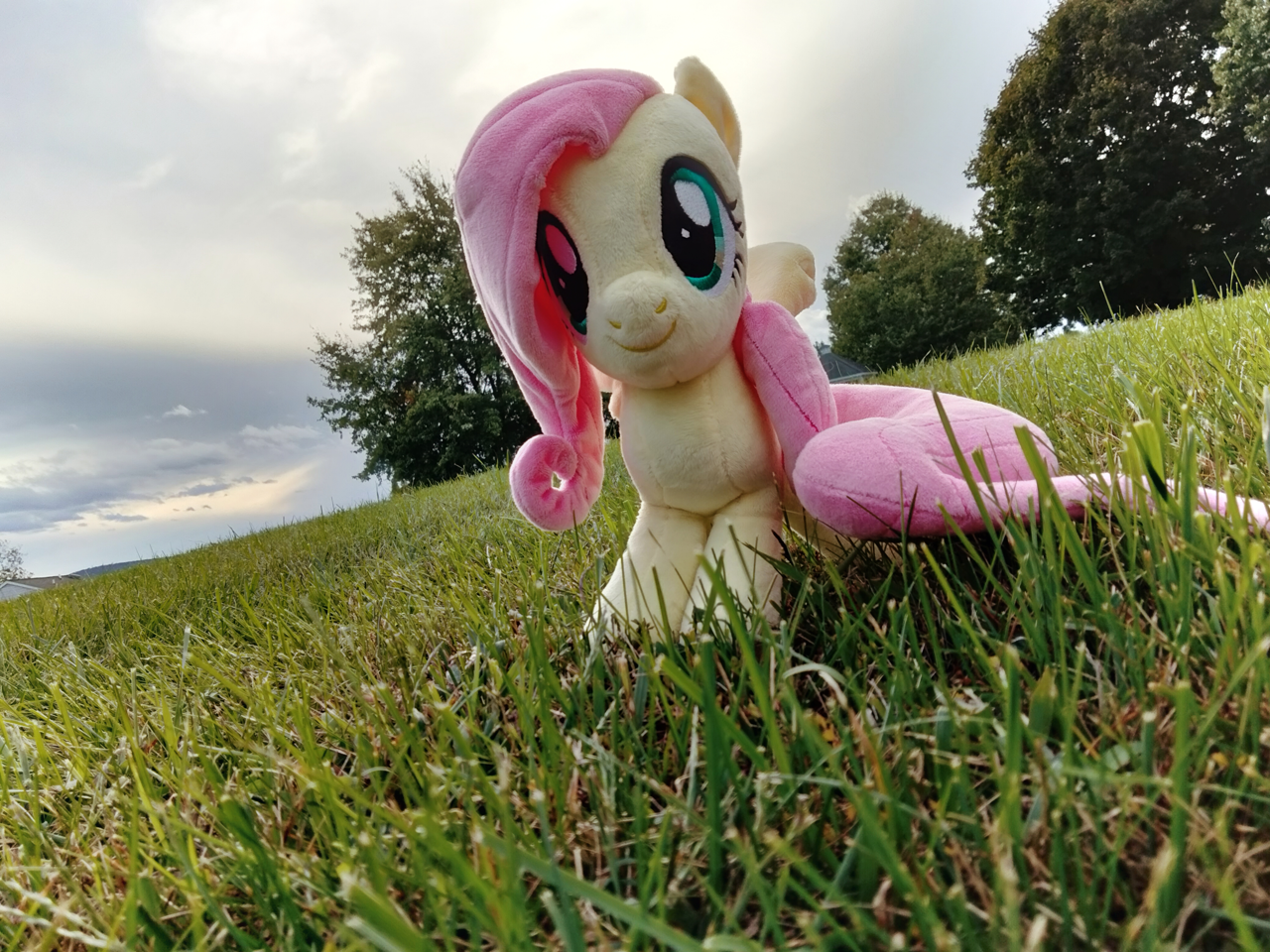 #3215765 - safe, artist:natsnaps, fluttershy, pegasus, cloud, cloudy, grass, grass field, irl ...