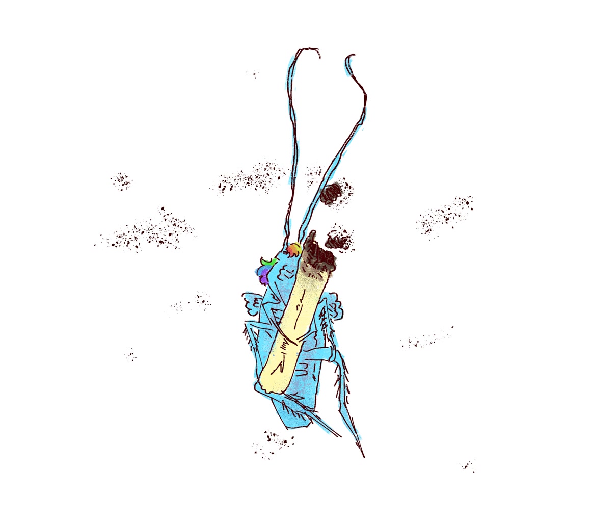 #3260275 - safe, artist:i-am-cholera, rainbow dash, cockroach, insect ...