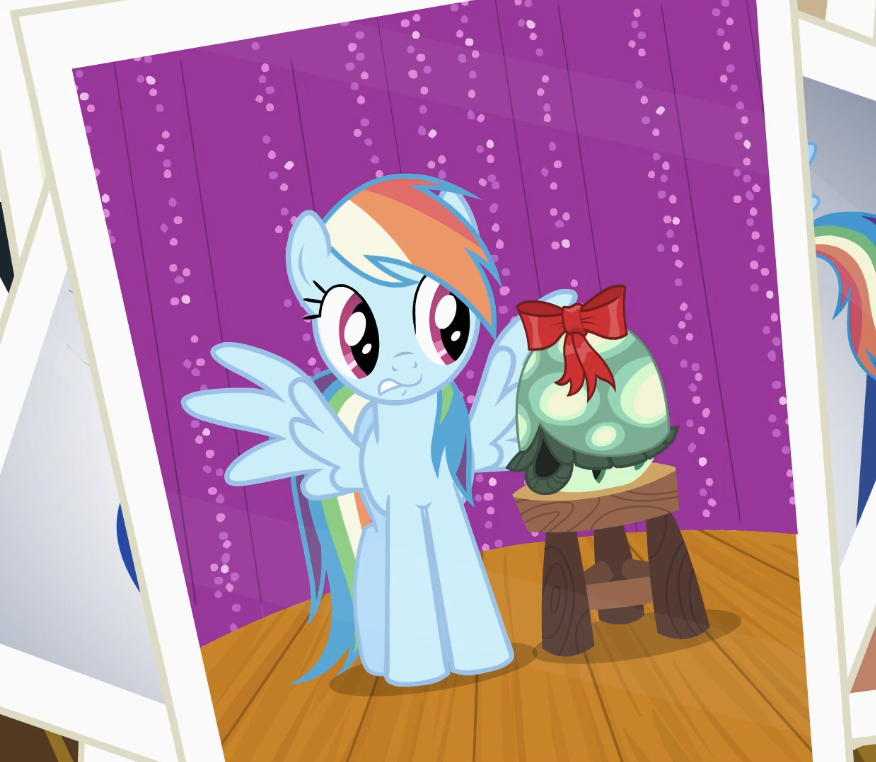 #3041914 - safe, screencap, rainbow dash, tank, pegasus, pony, tortoise ...