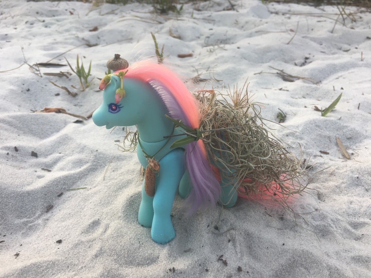 #3056855 - safe, ivy, earth pony, pony, g2, acorn, bow, cactus, clothes ...