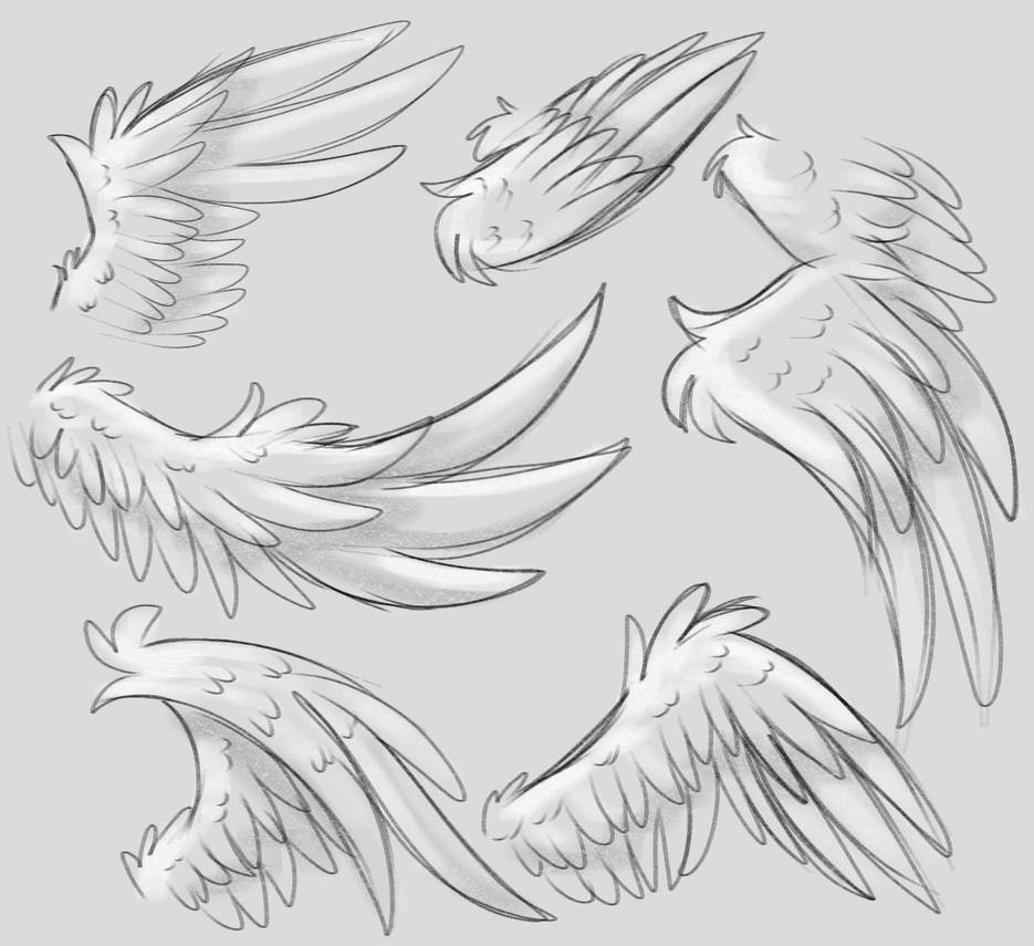 #3084734 - safe, artist:angelwingsmlpfim, anatomical study, anatomy, art study, folded wings ...