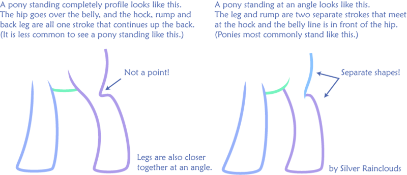 #3085924 - safe, artist:silvervectors, pony, explanation, guide, hind ...