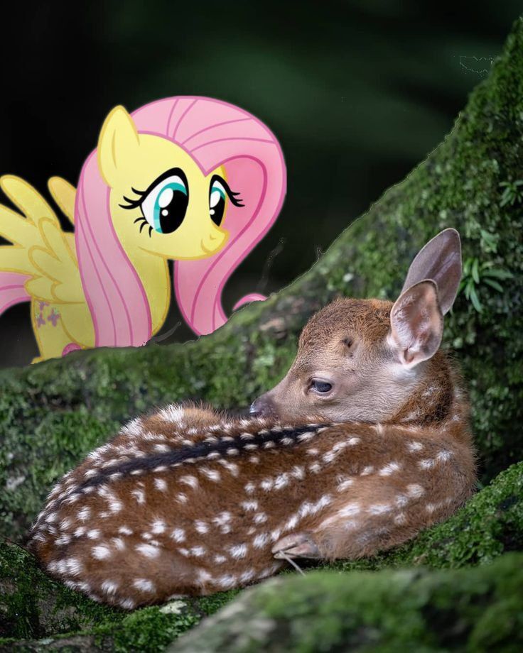 #3099050 - safe, artist:zetter-berg, edit, fluttershy, pegasus, pony ...