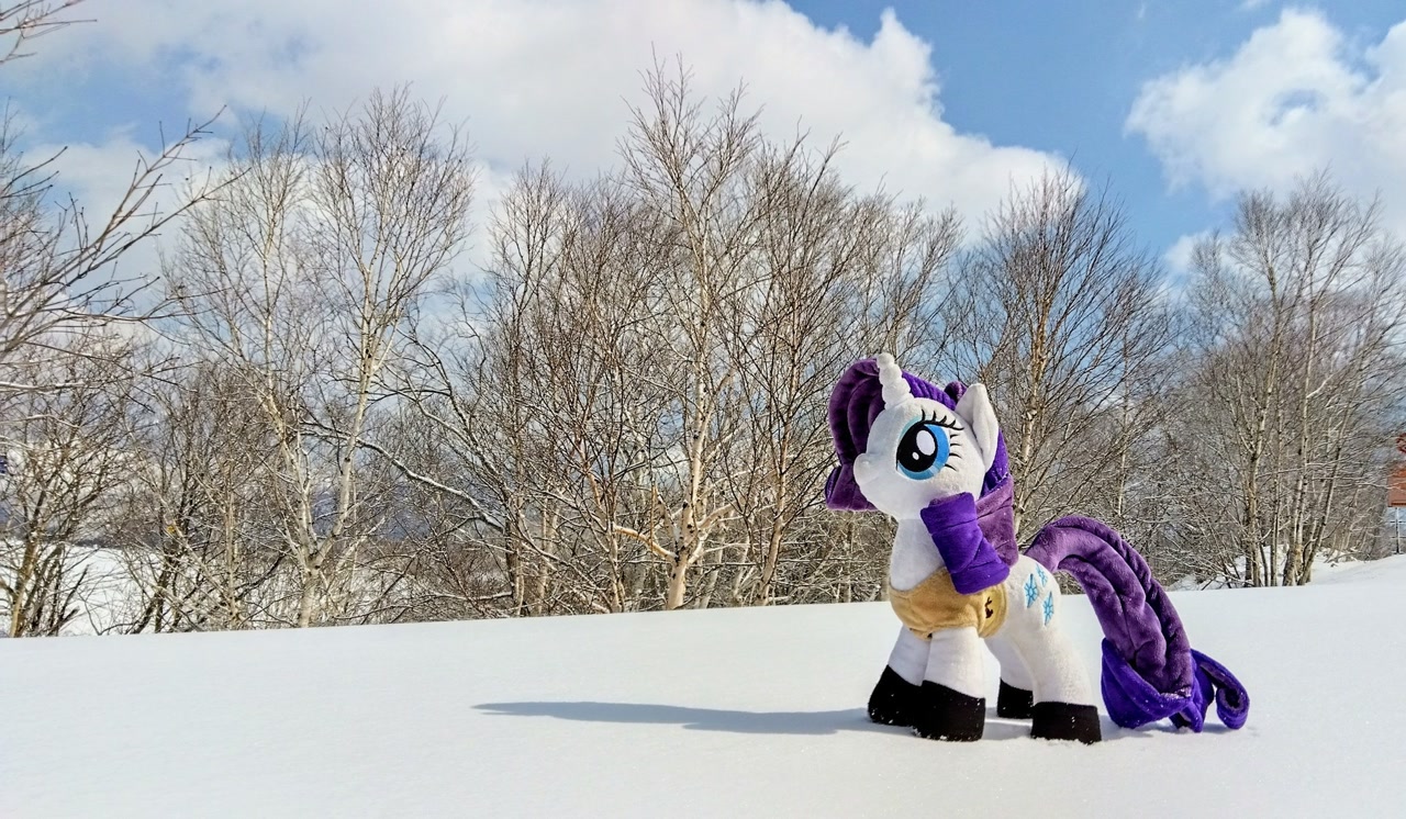#3103161 - safe, photographer:pakapaka1993, rarity, pony, irl, japan ...